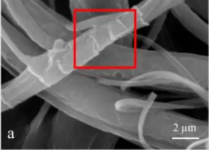 实验室纺成的海绵形成完美的支架，用于培养皮肤细胞以愈合伤口|佛山微迈